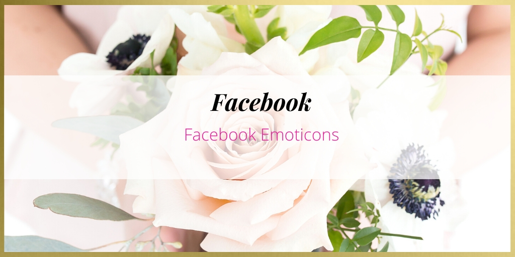 Using Emoticons in Facebook Comments | Webonize